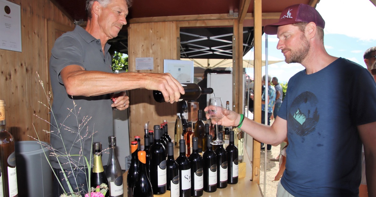 «Wein im Rebberg» wird ausgebaut | Andelfinger